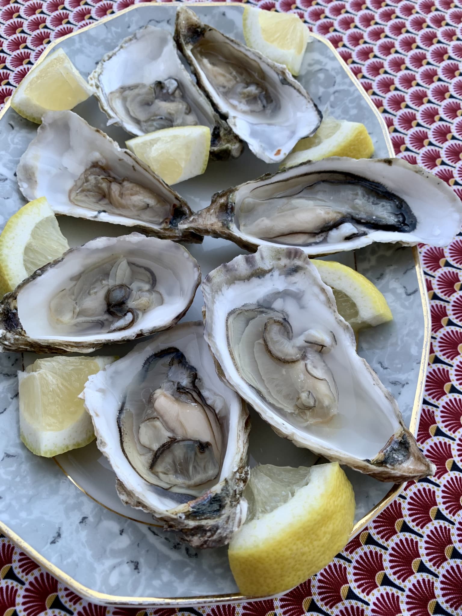 Austern - Oysters - Huîtres