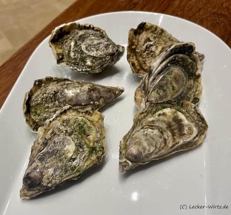 Austern der Normandie