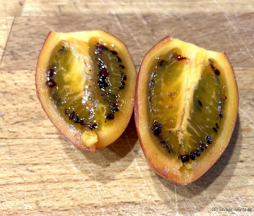 Tamarillo - Baumtomate